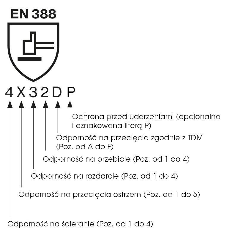 Czym jest norma EN 388 dotycząca rękawic ochronnych? - Lebon Protection